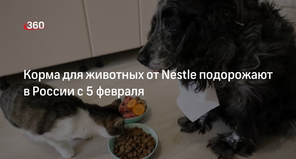 Корма для животных от Nestle подорожают в России с 5 февраля | 360.ru