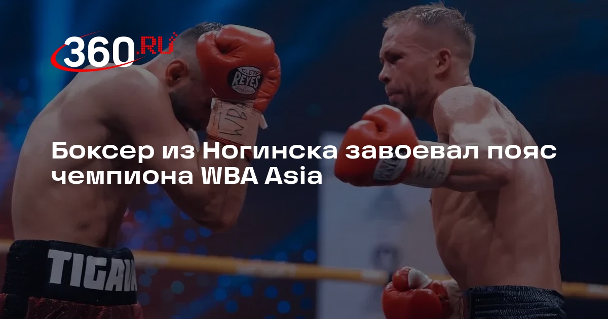 Боксер из Ногинска завоевал пояс чемпиона WBA Asia | 360.ru